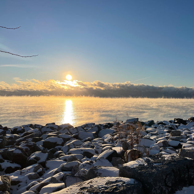 Simply, Simple – Lovbird Design